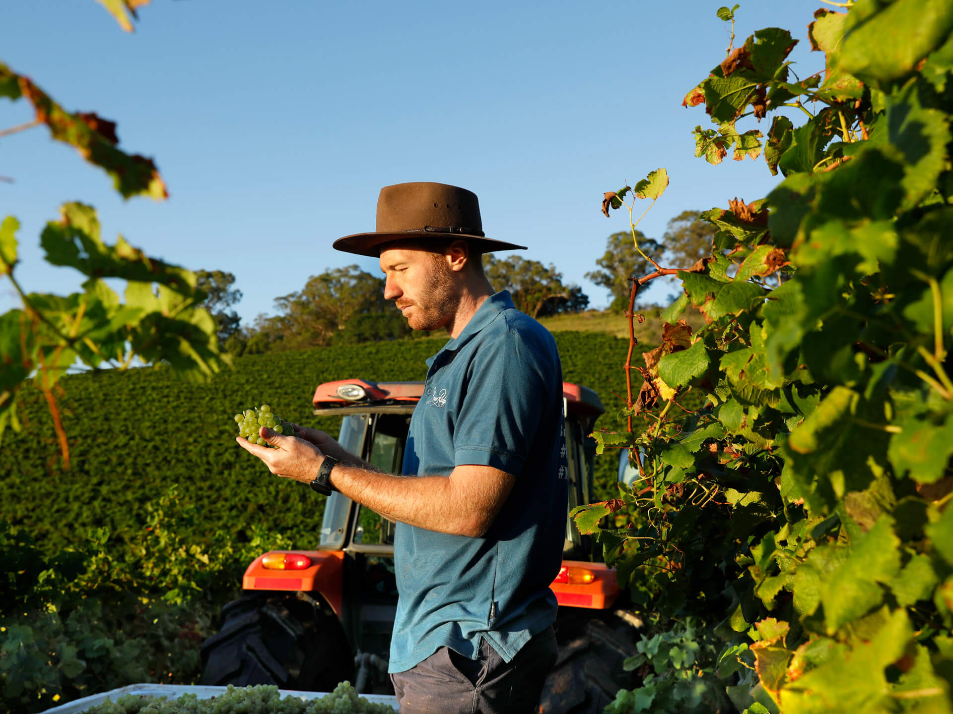 At The Bar with Marnong Estate winemaker Alex Beckett - The Write Drop